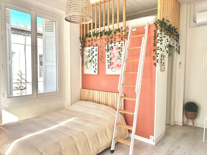 Studio Sylvestre - À Deux Pas De La Cité - Carcassonne