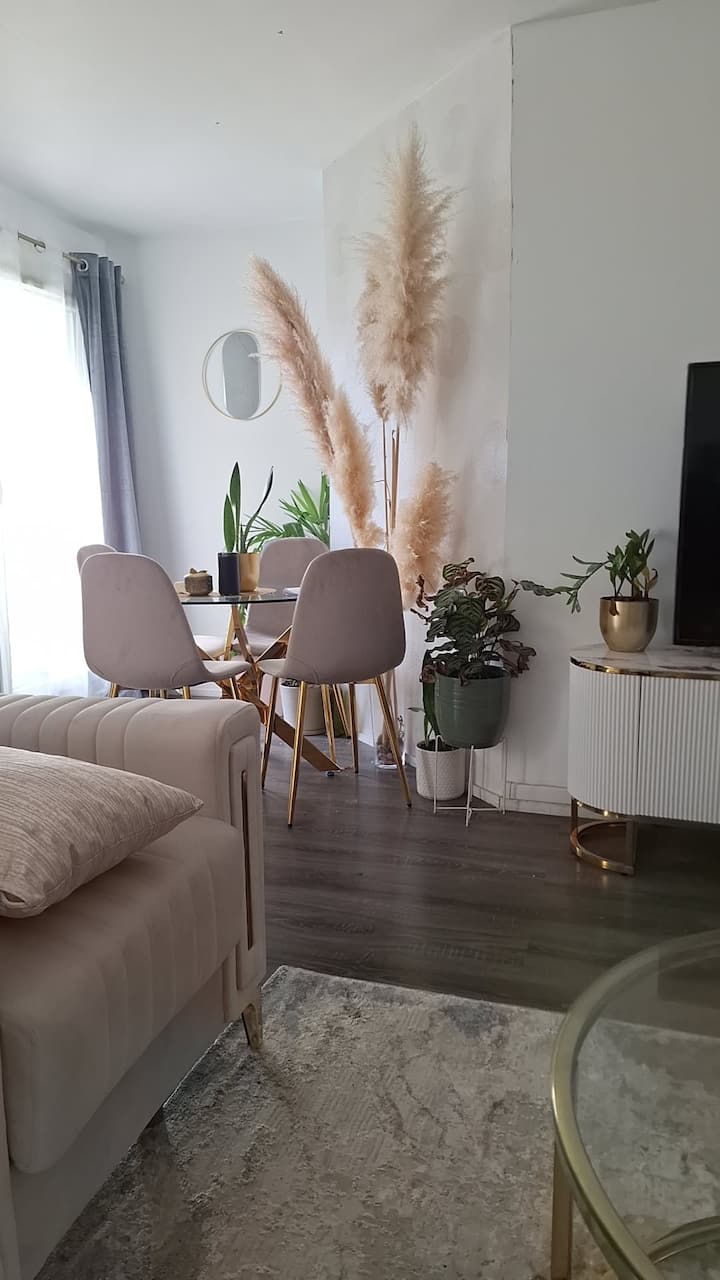 Bel Appartement à Louer Proche De Disneyland Paris - Torcy