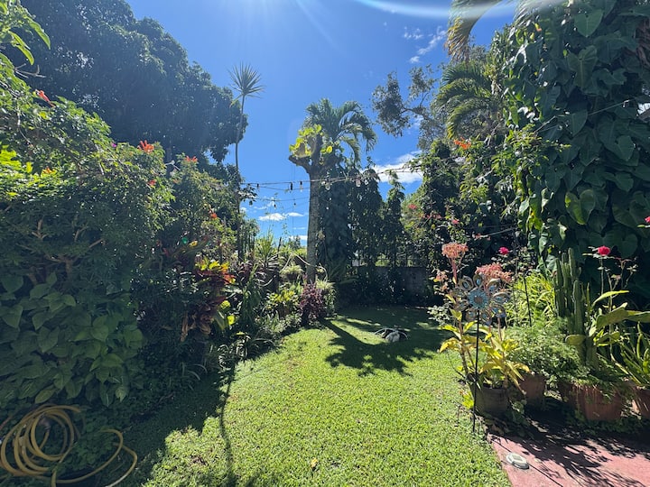 Bienvenidos A Flor Y Sombra! Tu Lugar De Descanso! - San Salvador