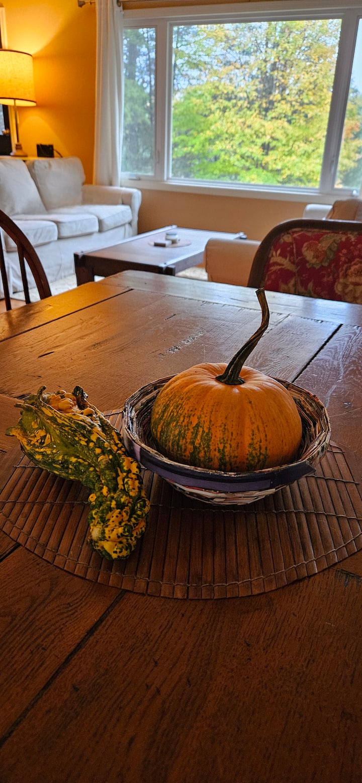 Spend The Holidays Here!
12 Hikeable Acres - Saugerties, NY