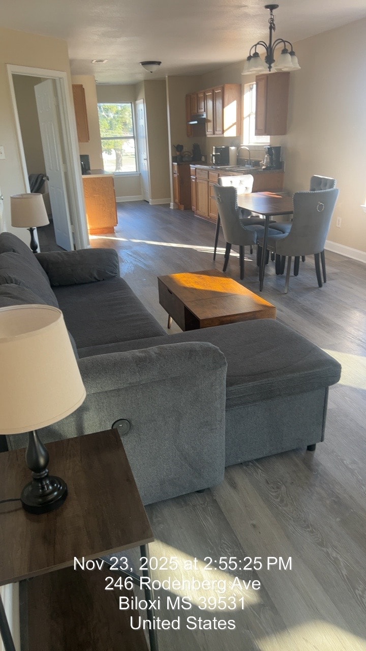 Lion King Themed Large Apartment Near Keesler - Biloxi, MS