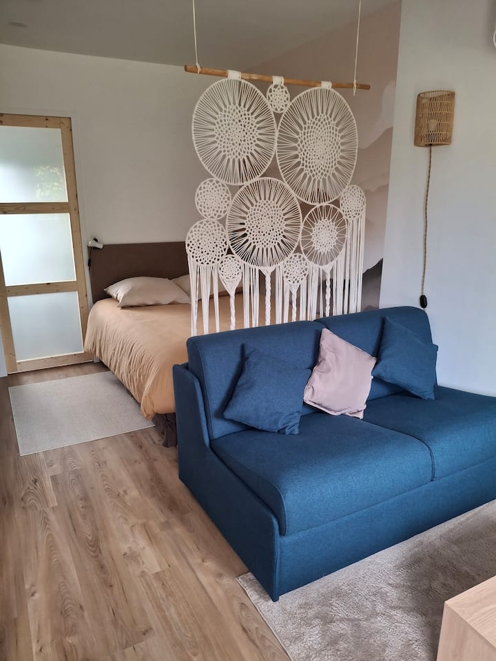 Studio Au Calme (P Tit Dej En Option) - Saint-Priest