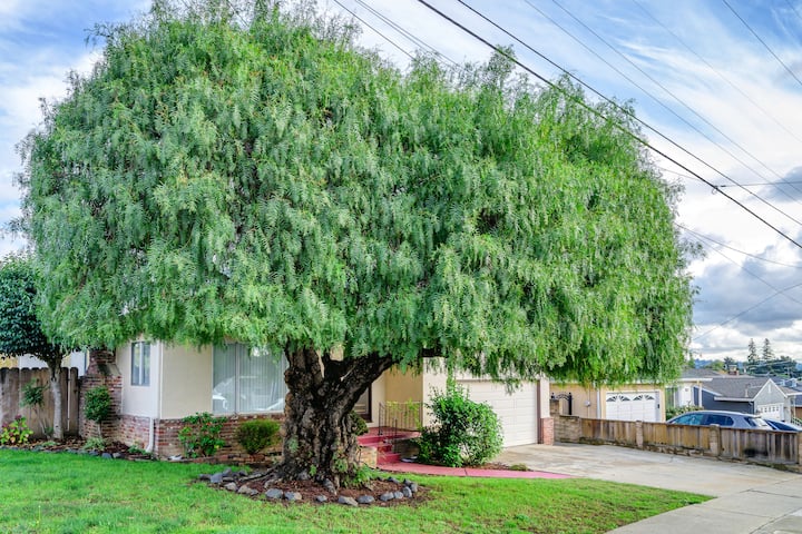 Spacious 5b/2b Home/ Castro Valley Garage Parking - San Leandro, CA