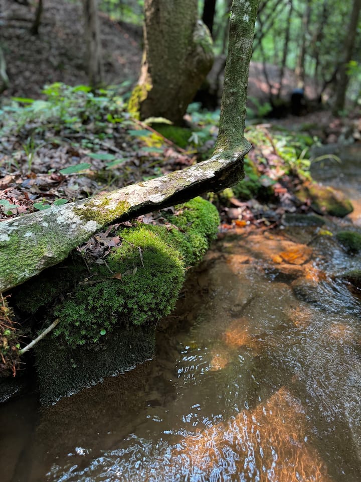 Cabin On 3 Acres W/ Creek, Trails & Fire Pits - Amicalola Falls Campground, Dawsonville