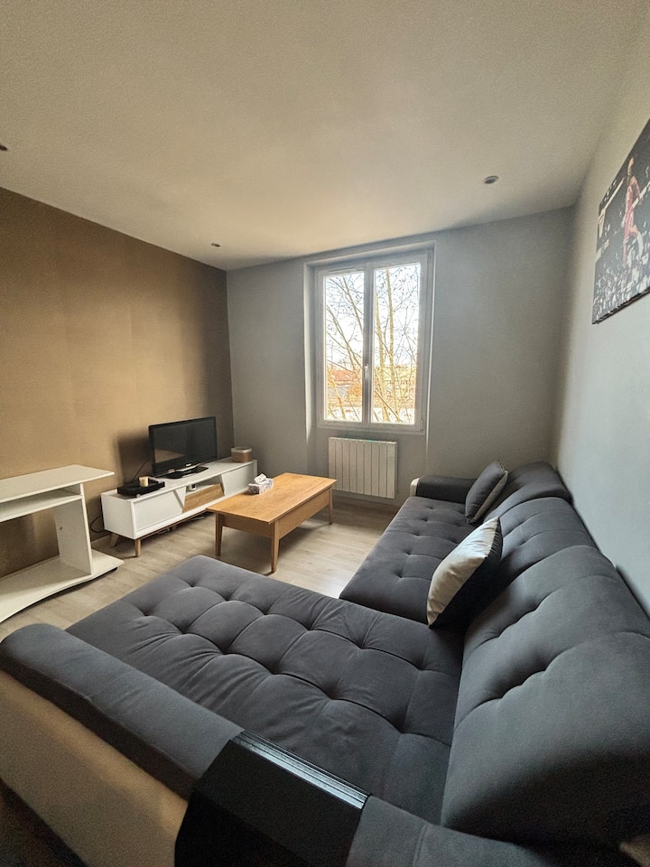 Appartement Chasse Sur Rhône,1 Lit Et 1 Canapé Lit - Givors