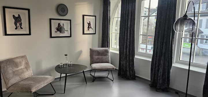 Deluxe Business Apartment Kostenloser Parkplatz - St. Gallen