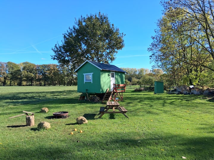 Tiny House - Munster, Germany