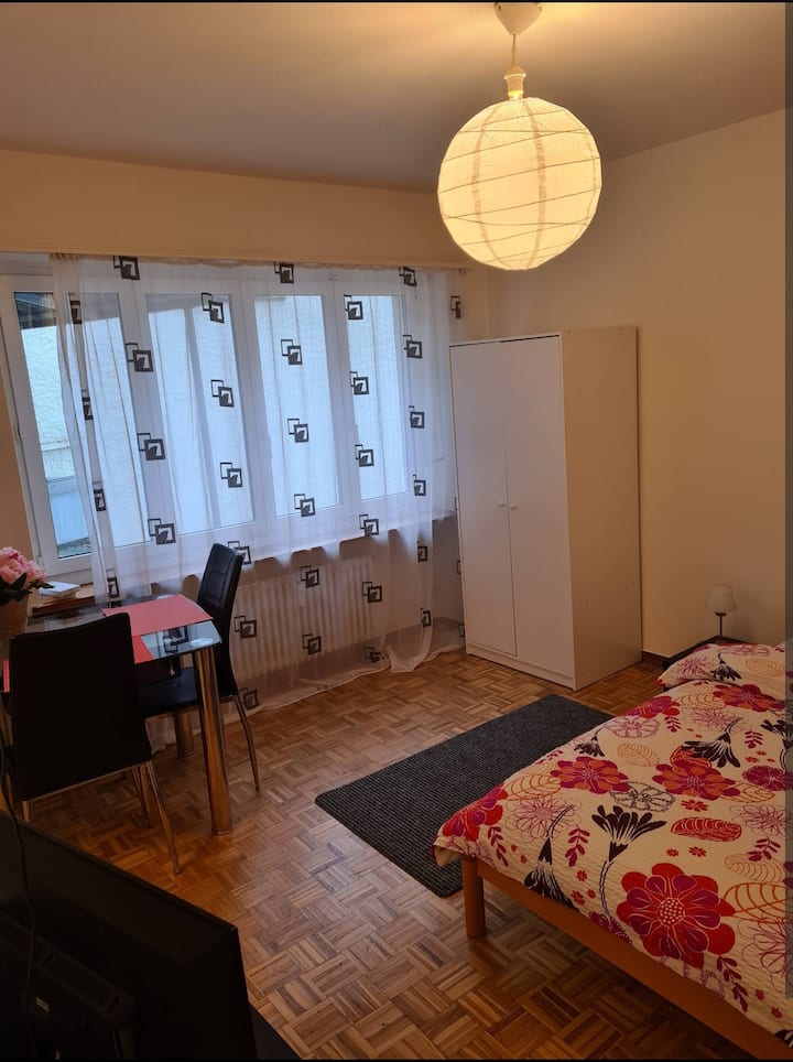 Komplett Ausgestattete Wohnung In Top Lage. - Basel