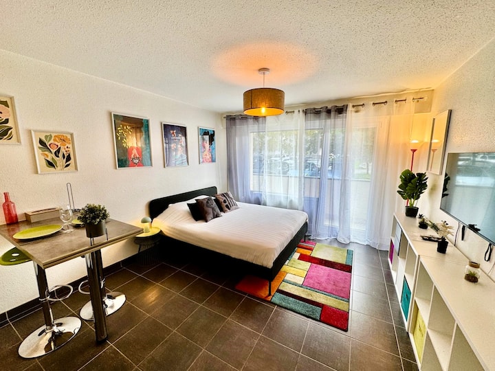 Cosy Border Studio - Proche Genève - Archamps