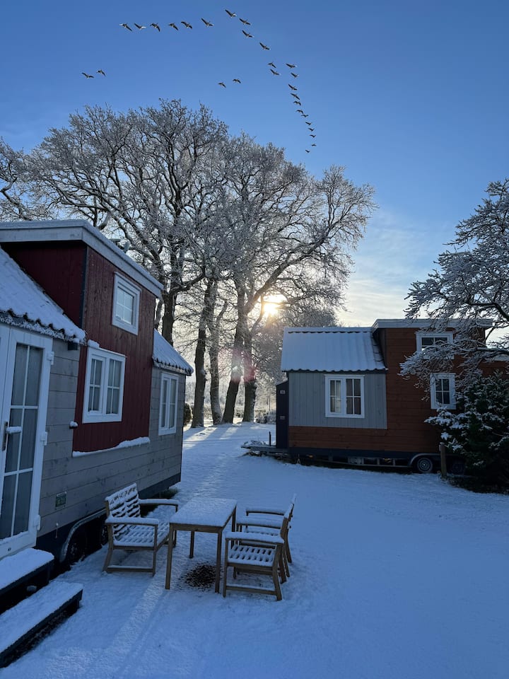 Gemütliches Tiny-house In Cuxhaven - Cuxhaven