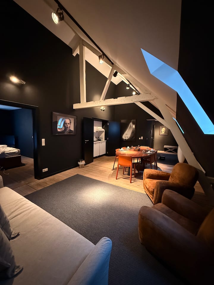 Chambre De La Reine - Appartement - Brussels