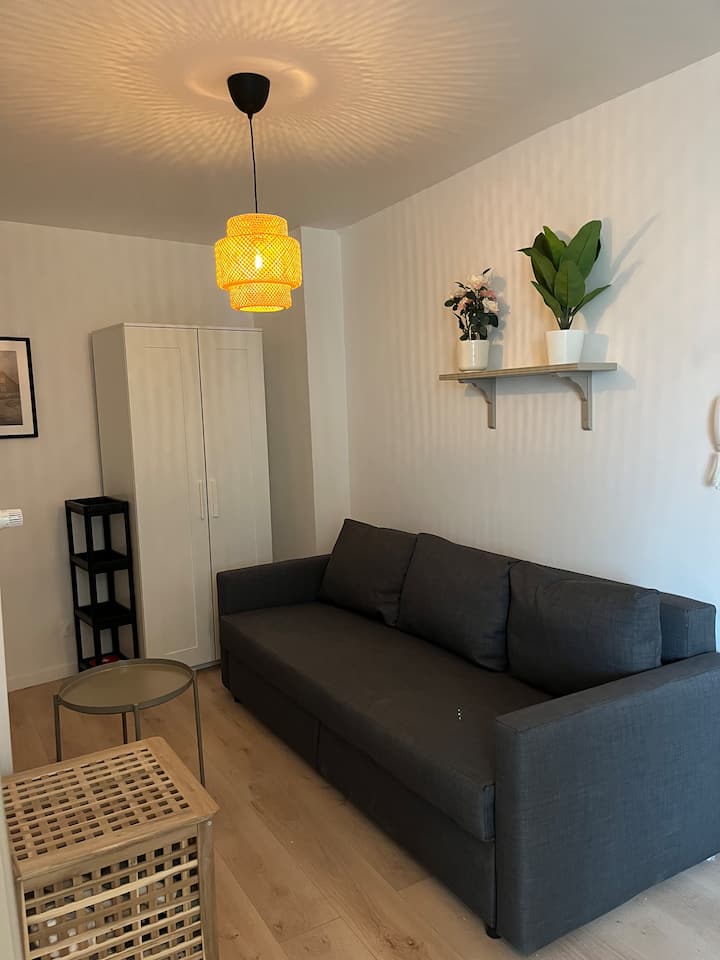Charmant Studio, Calme Et Proche Centre Strasbourg - Strasbourg