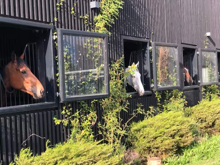 Insolite & Charmant - Logement • Terrasse • ÉCurie - Maisons-Laffitte