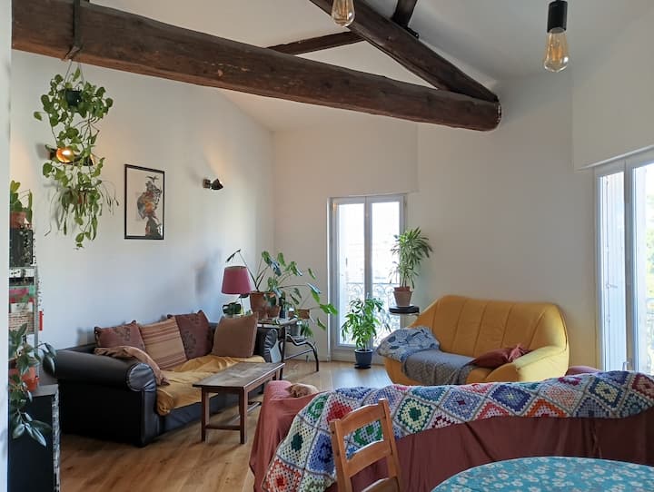 Grand Appartement Spacieux Et Lumineux - Montpellier