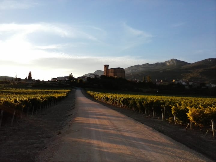 Chalet En Samaniego - Samaniego