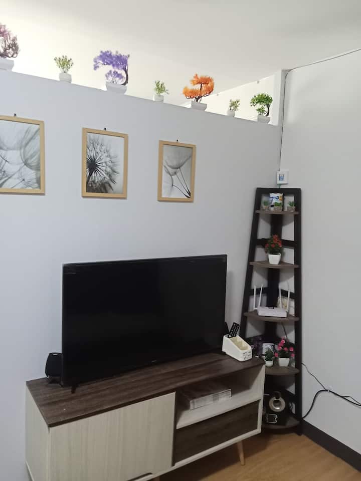 Myrtle B7 124 - Santa Maria