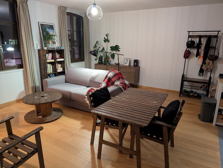 Appartement Spacieux Hyper Centre Petite France - 스트라스부르