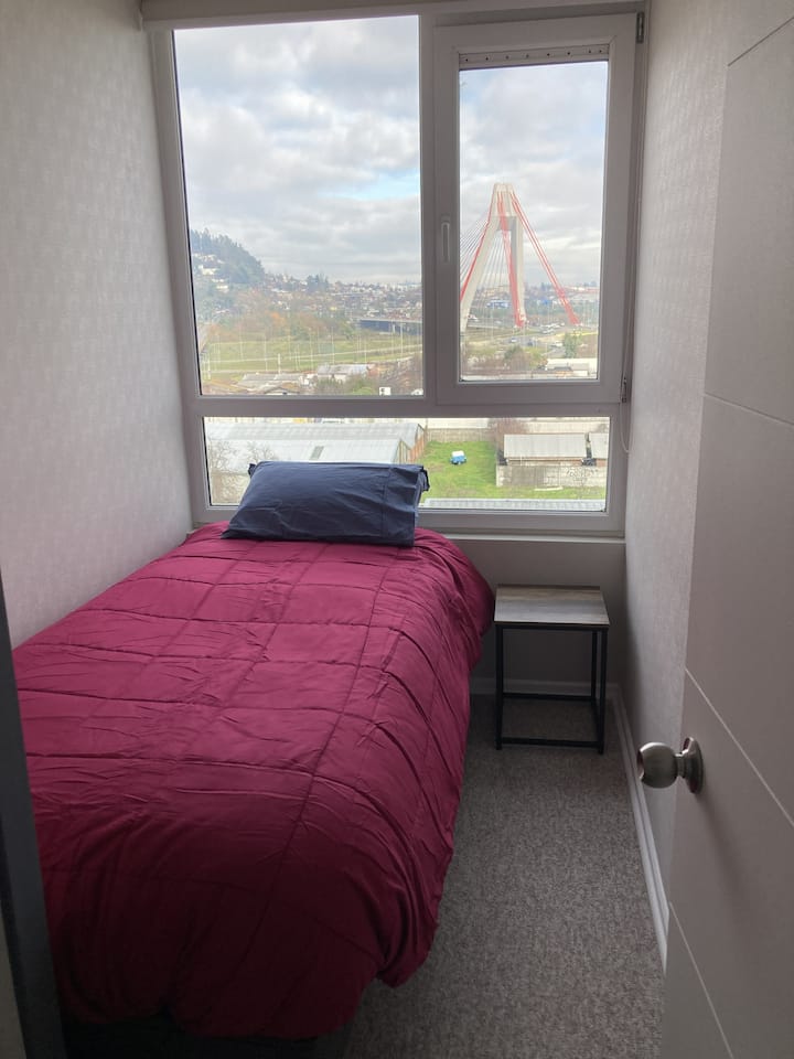 Departamento Céntrico Temuco - Temuco