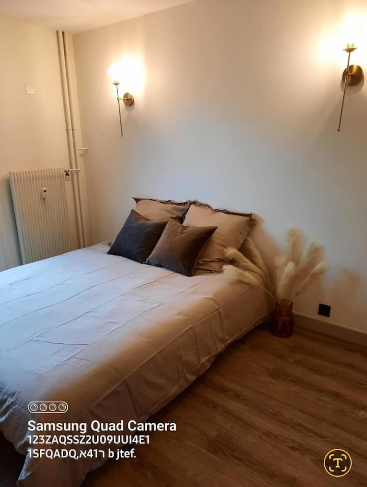 Magnifique Appartement, Strasbourg Marché De Noël. - Strasbourg