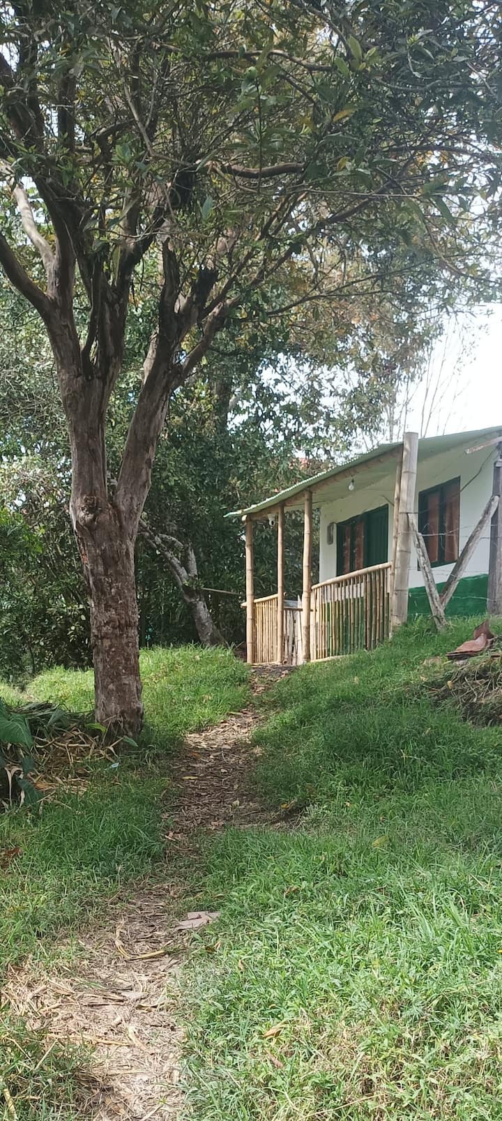 Alma Paisa, Guesthouse - Salento