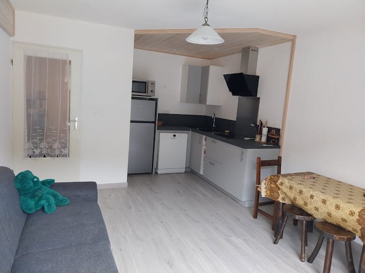 Appartement T2  Pour 4 à 5 Personnes - Corrençon-en-Vercors