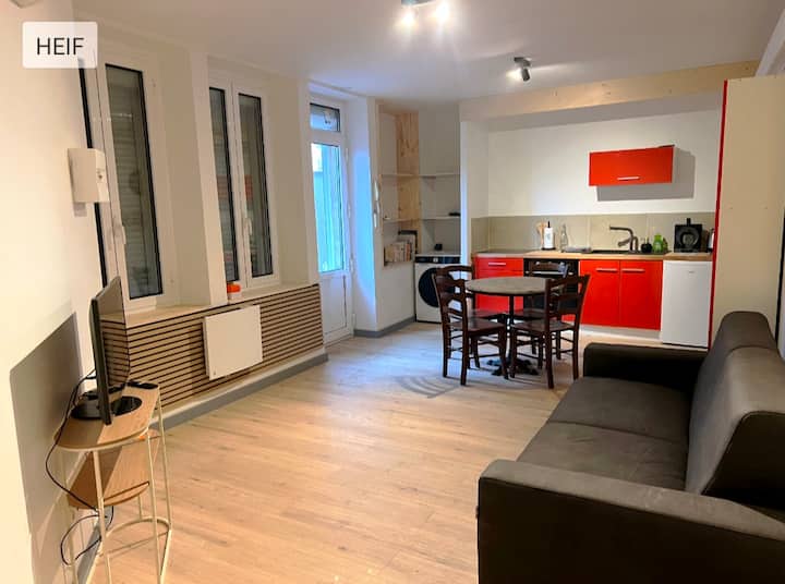 "Le Colombier", Appartement Avec Cour Privative - Tournus