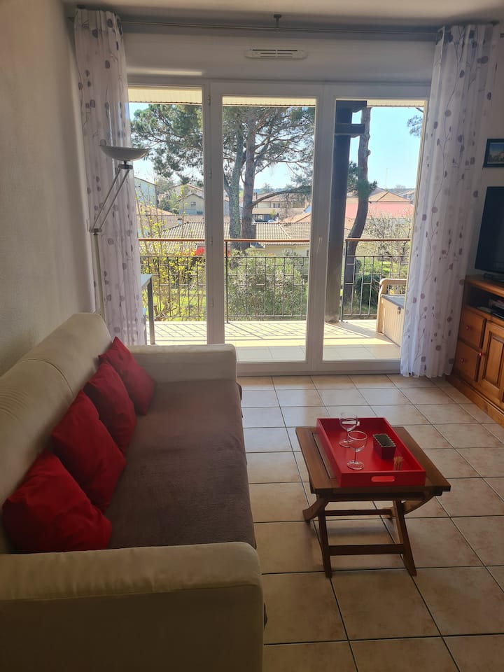 Appartement Lumineux Avec Terrasse - Soustons