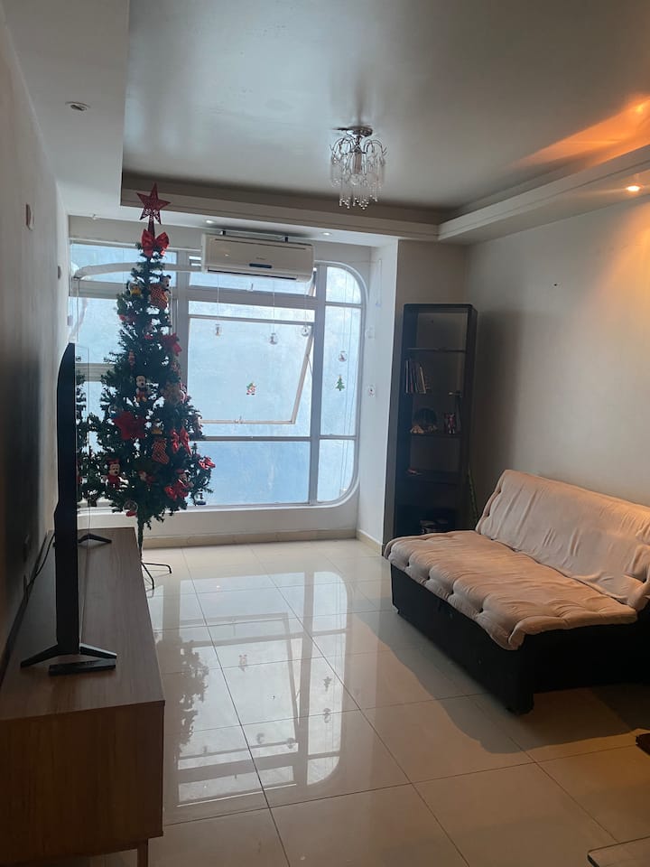 Apartamento Amplo E Localizado No Centro Do Recife - Recife