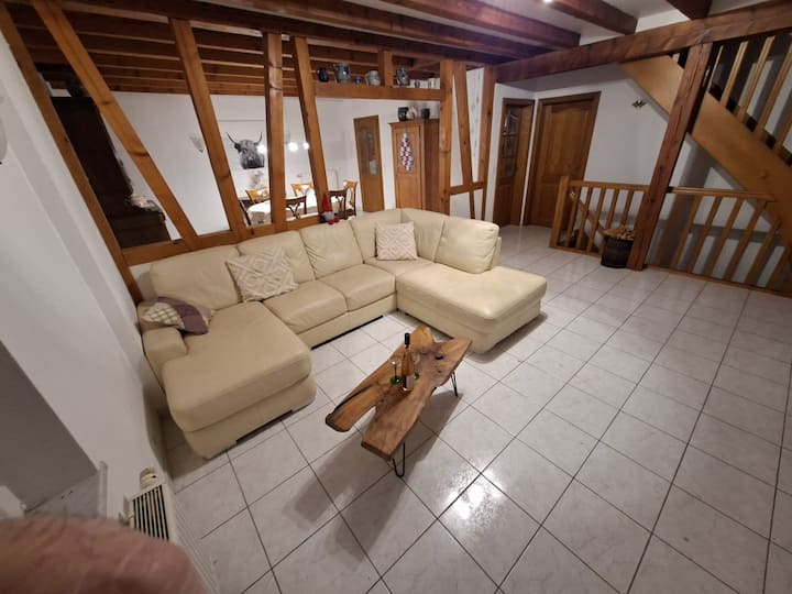 Appartement En Duplex Sur 120m2 - Hœnheim