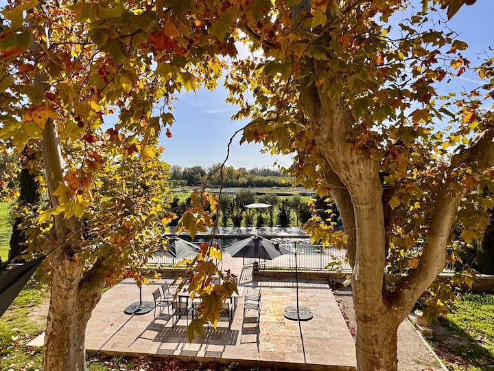 Domaine Mas Provençal Avec Piscine 20 Couchages - Avignon