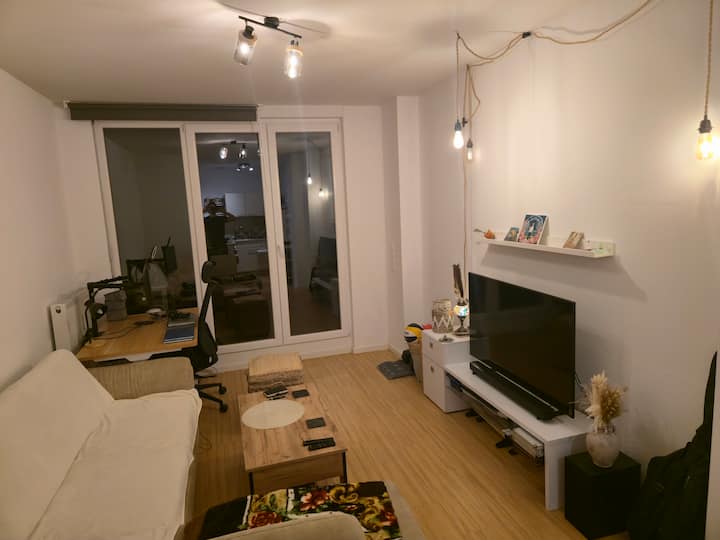 Central, Quiet And Cozy Appartment With 2 Rooms - Aachen