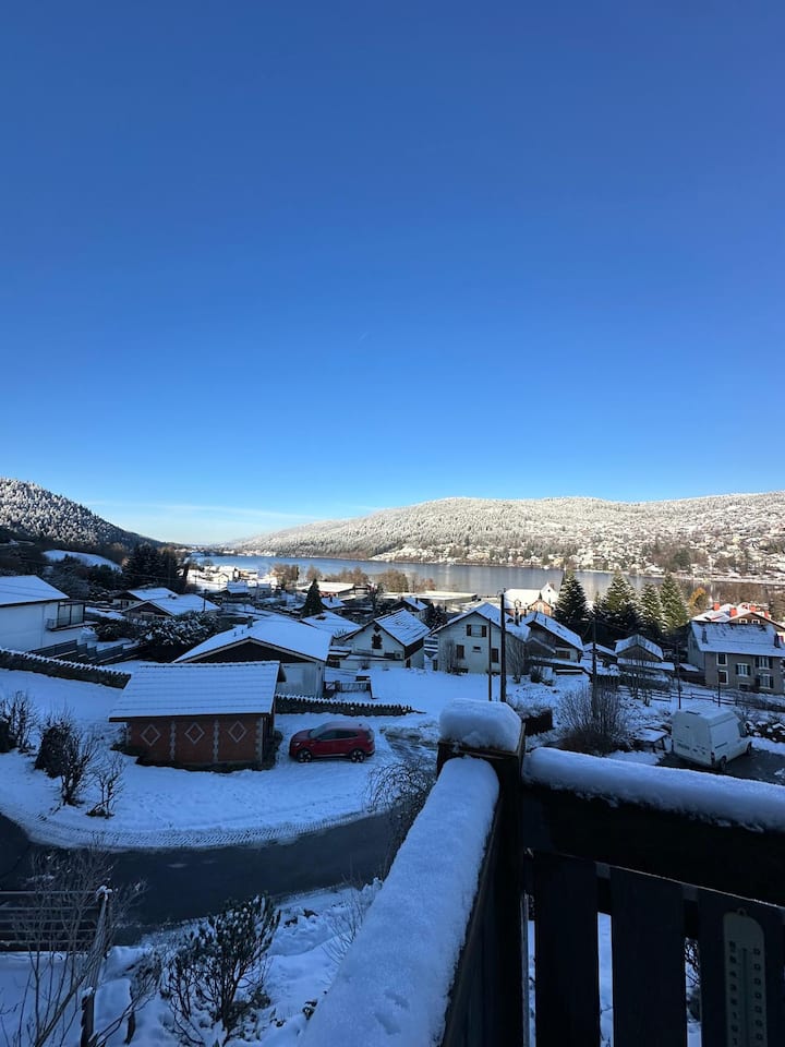 Appartement Vu Exceptionnel Sur Le Lac - La Bresse