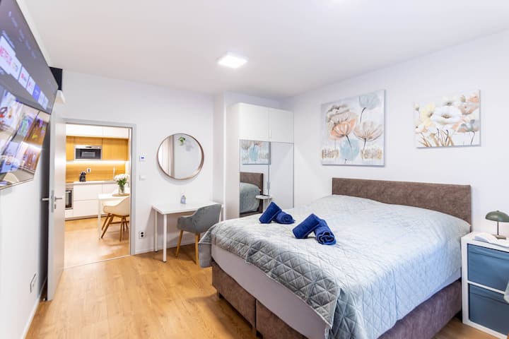 Ateliér Kuba •Parkování •Blízko Centra A Nemocnice - Brno