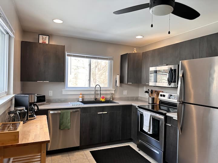 Walkable Apartment Near Downtown, Depot Town & Emu - Ypsilanti, MI