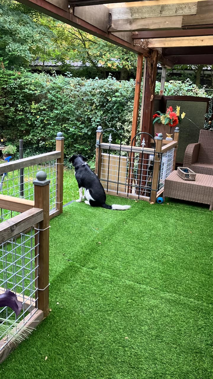 Knus Chalet Vlak Bij Zee En Honden Zijn Welkom - Schoorl