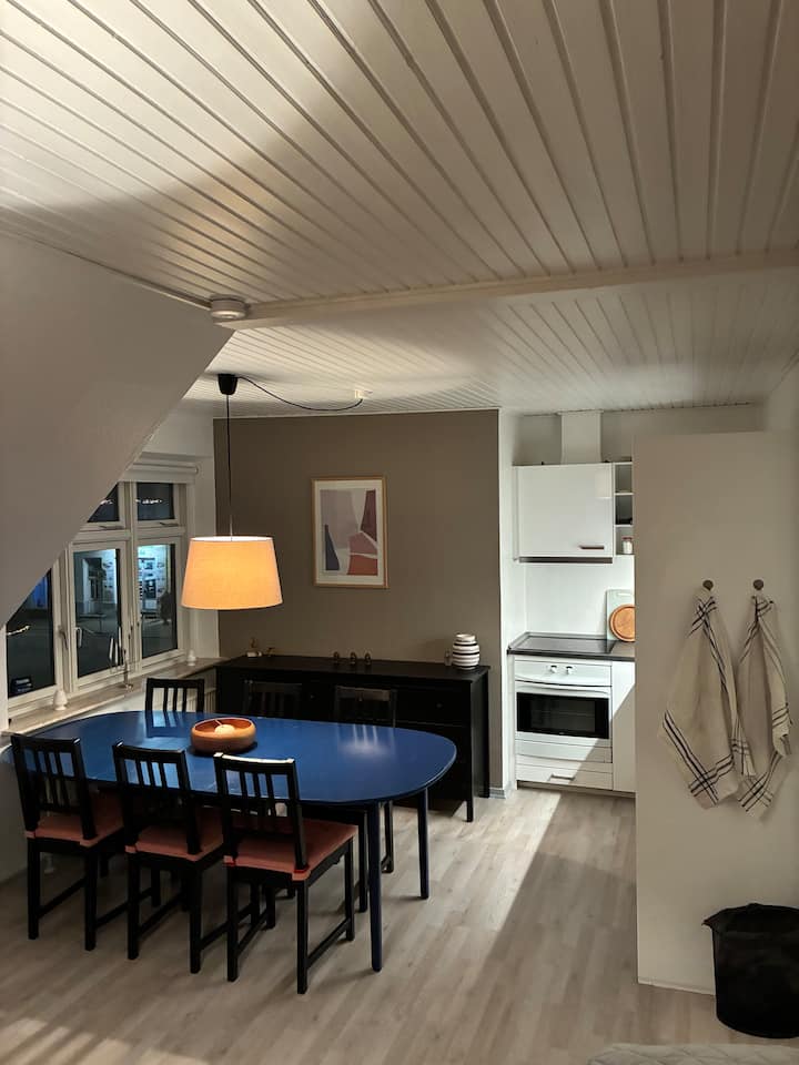 Central Lejlighed På Trøjborg – Plads Til 6 - Aarhus