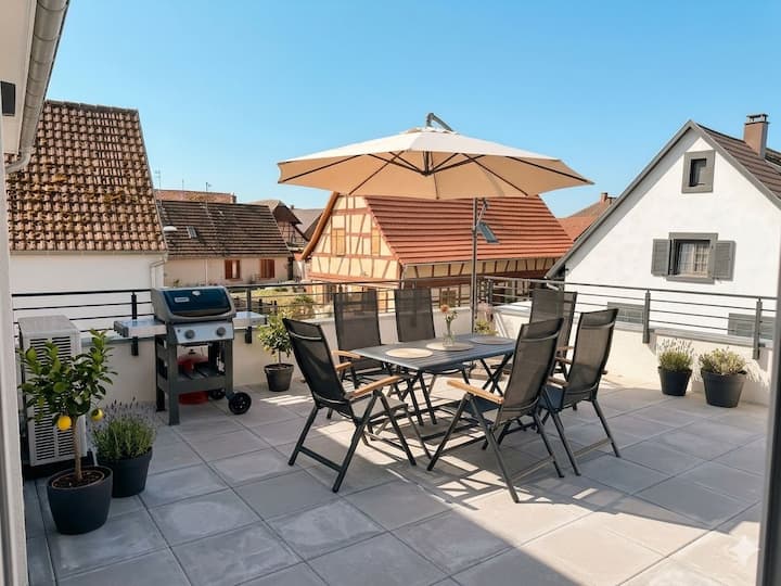 Grande Terrasse, Proche Europapark, Animaux Ok - Benfeld