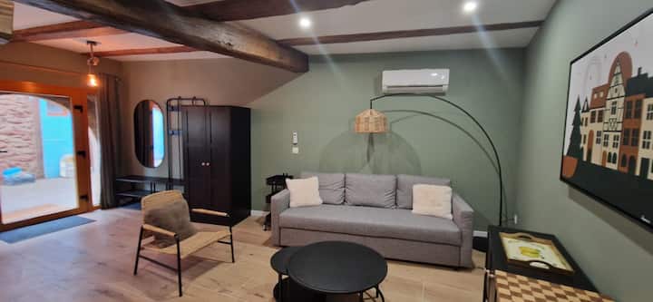 Maison Chaleureuse En Centre-ville - Class. 4* - Alsace
