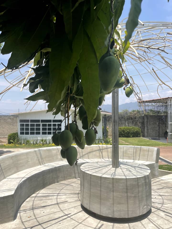 Cabaña Cozy - Oaxtepec