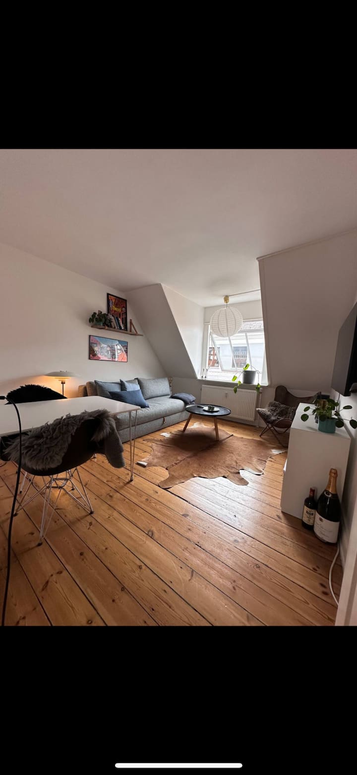 Cozy Apartment In Copenhagen - Copenhagen