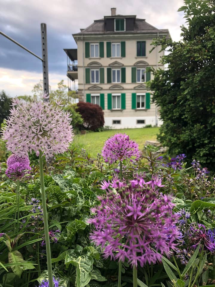 Wgh In Jugendstil Villa Blick Auf Den Zürichsee - Zurich