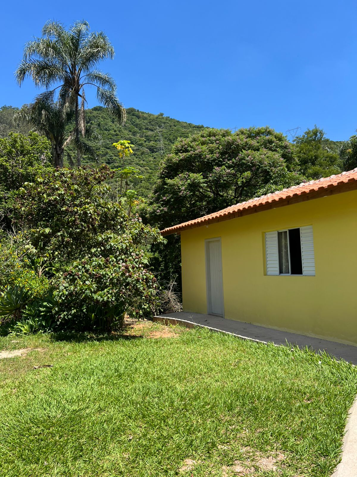 La petite maison jaune de la grand-mère Lucia - Maisons à louer à Monte ...