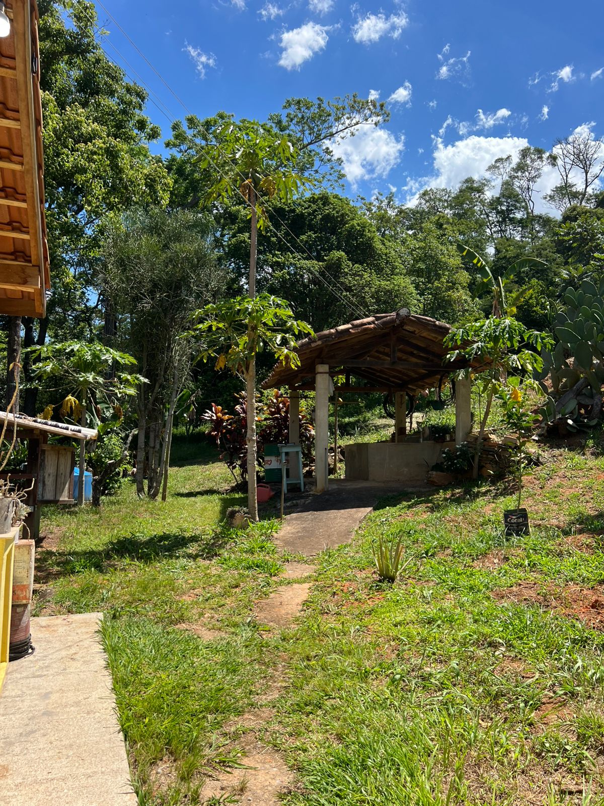 La petite maison jaune de la grand-mère Lucia - Maisons à louer à Monte ...