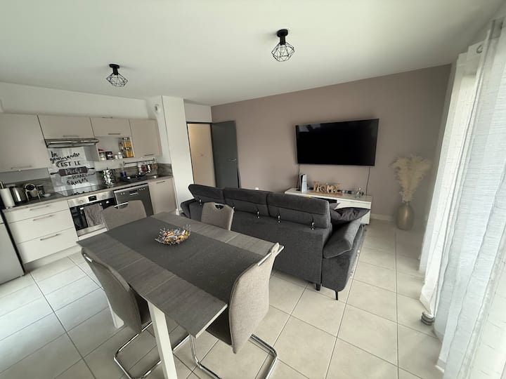 Appartement Cosy Proche Pistes De Ski Et Genève - Annemasse