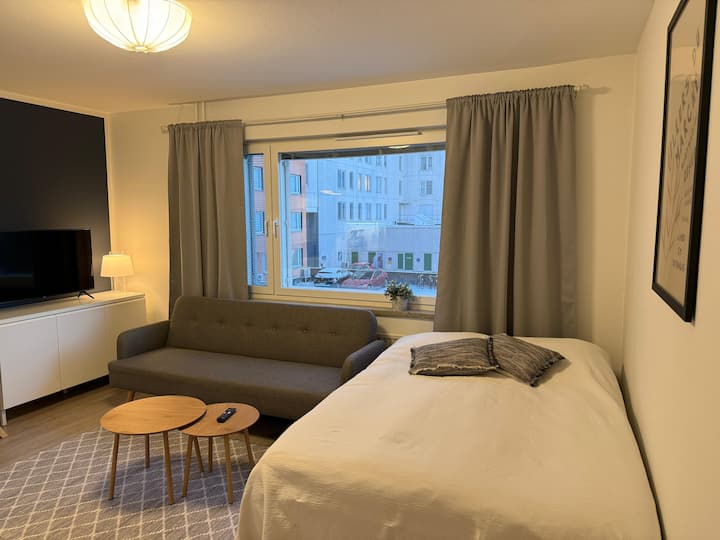 Hämeenlinnan Keskustassa Siisti Ja Toimiva Yksiö - Hattula