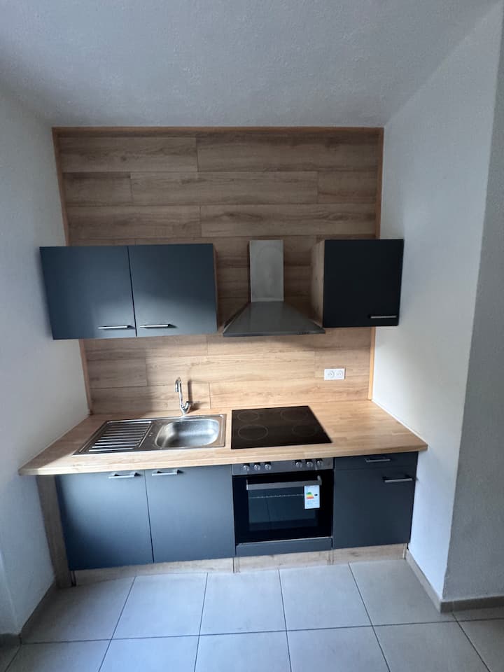 Appartement 2 Chambres Idéal Pour Marche De Noël - Strasbourg
