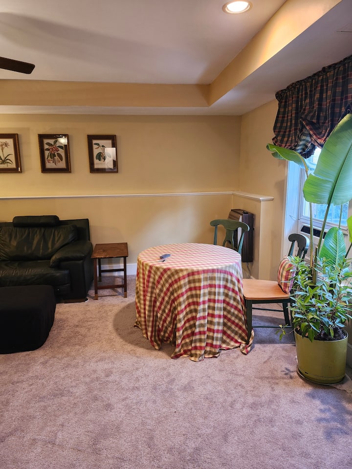 Biltmore Terrace Garden Private Level Apartment. - Buford, GA