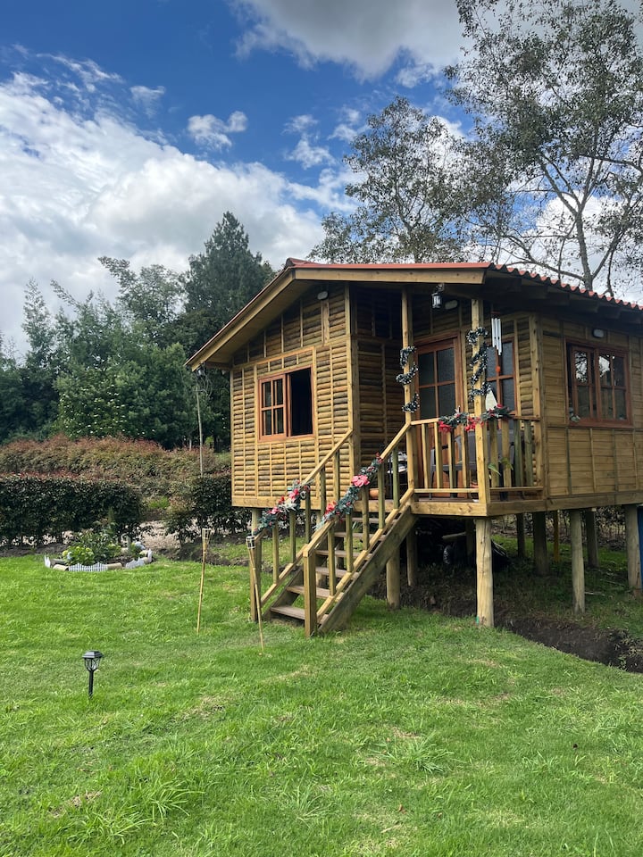 Un Moment Paisible Dans La Montagne - Tabio