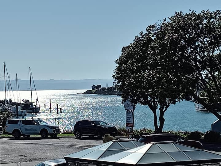 Oceanview Apartment - 네이피어