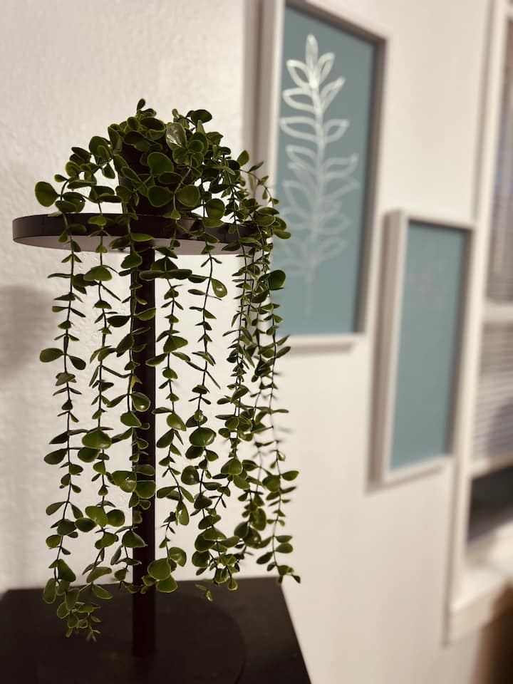 Bungalow By The Brook - Waynesville, MO